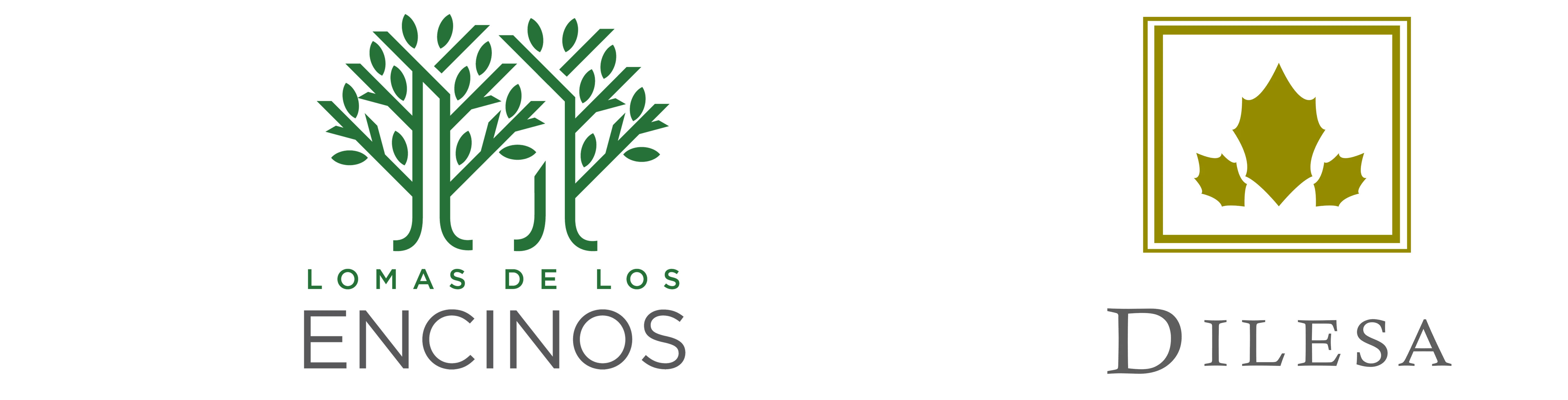 LOMAS DE LOS ENCINOS | DILESA